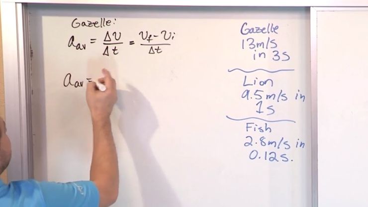 Average Acceleration Equation